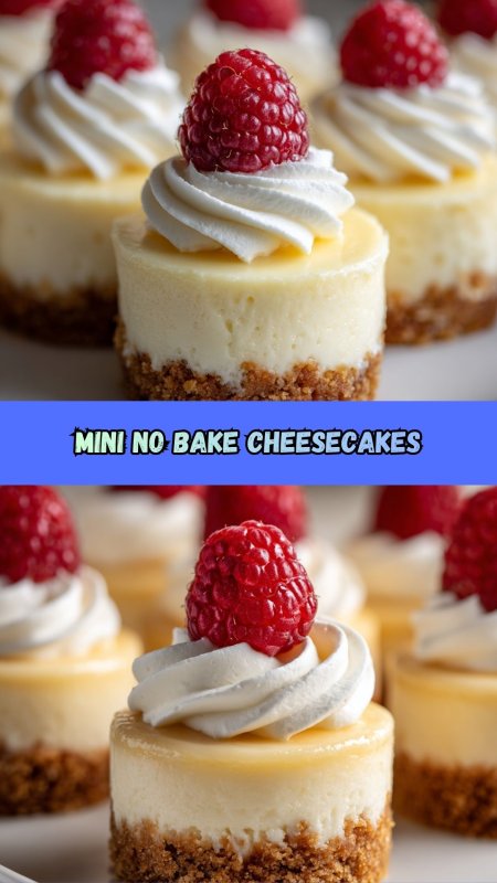 No Bake Mini Lemon Raspberry Cheesecakes Recipe – sweetindulgencescakes